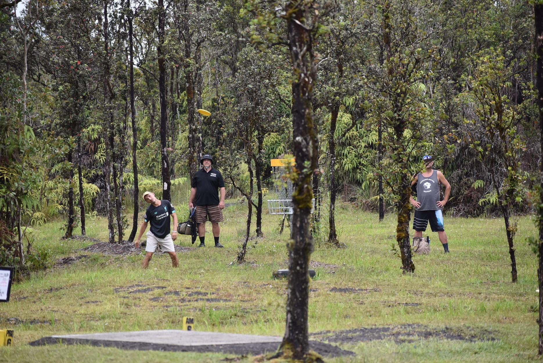 Lavalinks – Recreation Club