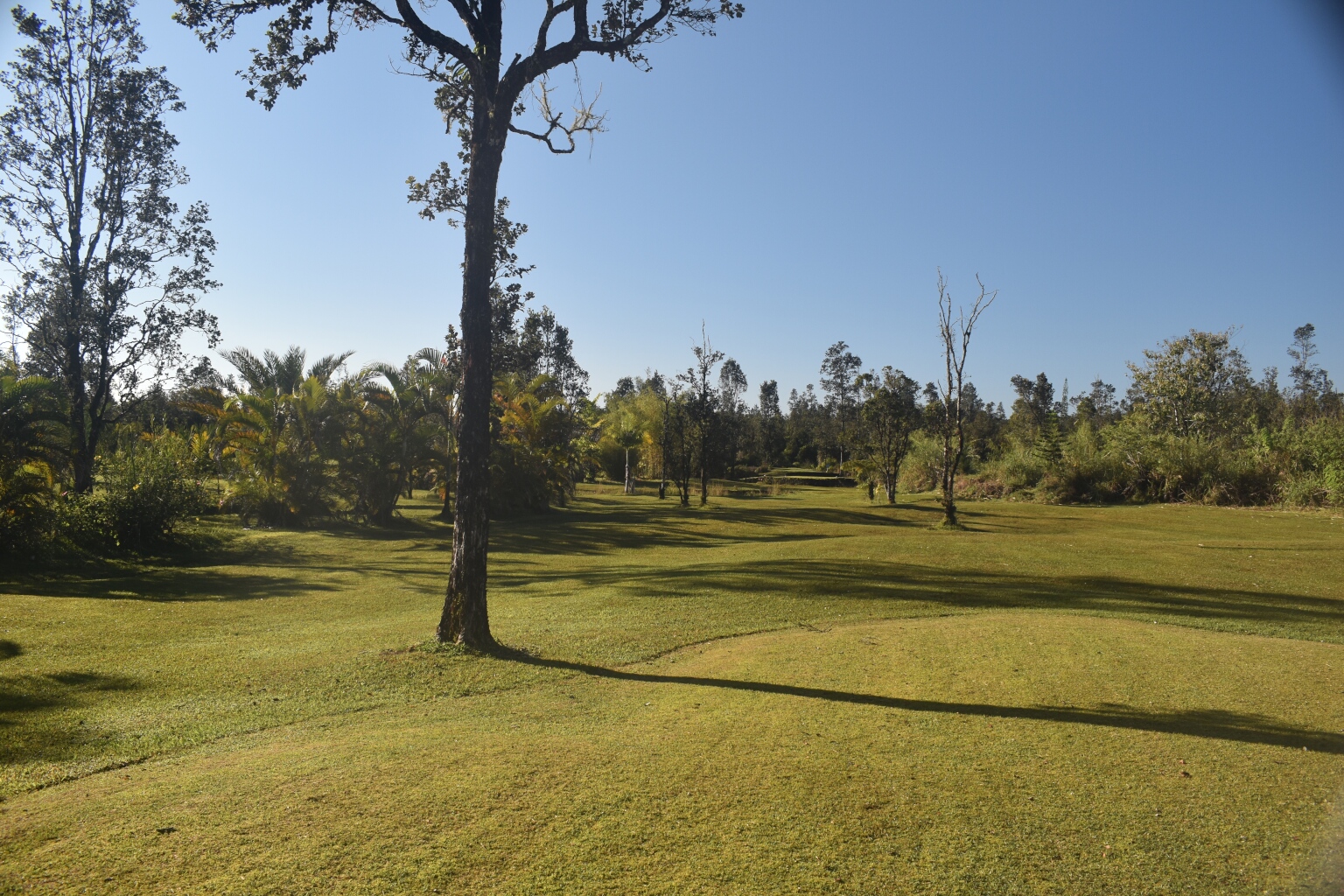 Lavalinks – Recreation Club